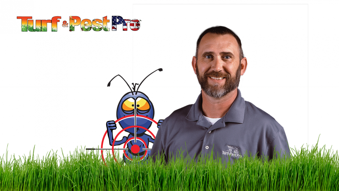 Controlling Lawn Pests - Turf and Pest Pro USA